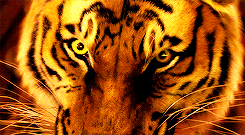 Gerard depardieu GIF - Conseguir o melhor gif em GIFER