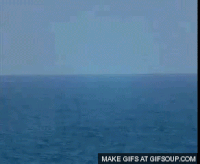 Submarine GIFs - Get the best gif on GIFER