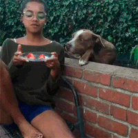 Needy GIFs - Get the best gif on GIFER