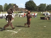 Orientation GIFs - Get the best gif on GIFER