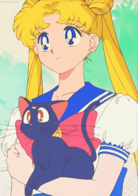 Usagi GIFs - Get the best gif on GIFER
