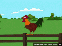 Rooster GIFs - Get the best gif on GIFER
