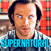 Cnn GIFs - Get the best gif on GIFER