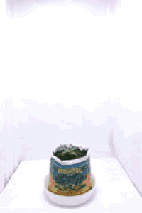 Pots GIFs - Get the best gif on GIFER