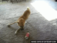 Soda GIFs - Get the best gif on GIFER