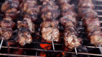 Lamb GIFs - Get the best gif on GIFER