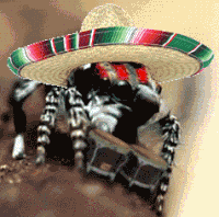 Lem GIFs - Get the best gif on GIFER