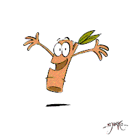 Bamboo GIFs - Get the best gif on GIFER