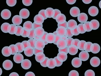 Fin GIFs - Get the best gif on GIFER