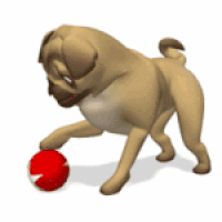 Gs GIFs - Get the best gif on GIFER