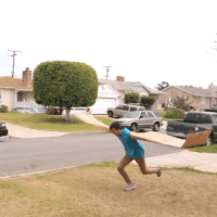 Fool GIFs - Get the best gif on GIFER