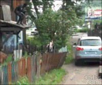 Hostage GIFs - Get the best gif on GIFER