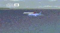 214 GIFs - Get the best gif on GIFER