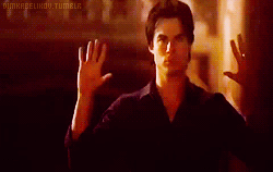 Big fish little fish cardboard box GIF - Conseguir o melhor gif em GIFER