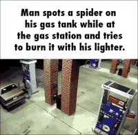 Gasolinera GIFs - Get the best gif on GIFER