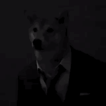 Menswear dog GIFs - Get the best gif on GIFER