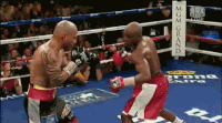 Cotto GIFs - Get the best gif on GIFER
