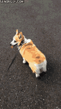 Puns GIFs - Get the best gif on GIFER