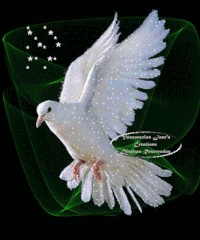 Dove GIFs - Get the best gif on GIFER