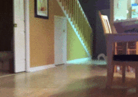 Dropkicks GIFs - Get the best gif on GIFER