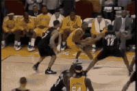 Mamba GIFs - Get the best gif on GIFER