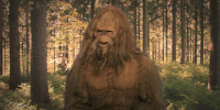 Sasquatches GIFs - Get the best gif on GIFER