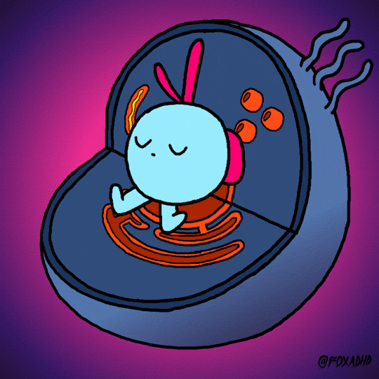 Fatto GIFs - Get the best gif on GIFER