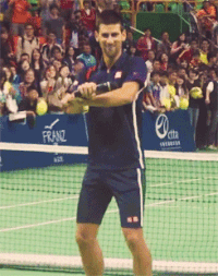 Djokovic GIFs - Get the best gif on GIFER