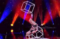 Steps GIFs - Get the best gif on GIFER