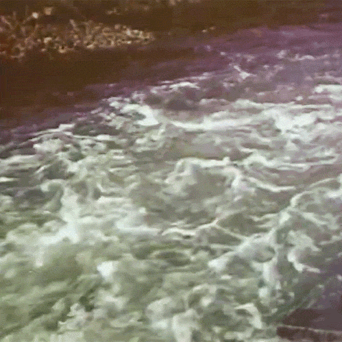 Rapids GIFs - Get the best gif on GIFER