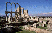 Lebanon GIFs - Get the best gif on GIFER