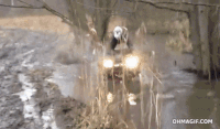 Atv GIFs - Get the best gif on GIFER