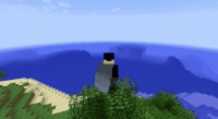 Elytra GIFs - Get the best gif on GIFER