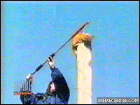 Sashad GIFs - Get the best gif on GIFER