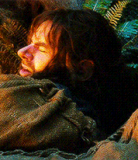 El Hobbit Kili Gif El S The Hobbit GIF Find On GIFER