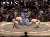 Sumo GIFs - Get the best gif on GIFER
