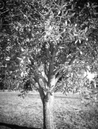 Complicated GIFs - Get the best gif on GIFER