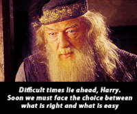 Dumbledore GIFs - Get the best gif on GIFER