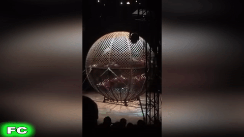 Compilacion GIF - Conseguir el mejor gif en GIFER