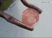 Coins GIFs - Get the best gif on GIFER