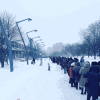 Hmmm GIF - Conseguir o melhor gif em GIFER