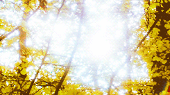Over exposed GIF - Conseguir el mejor gif en GIFER