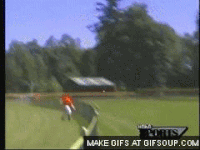 Tumble GIFs - Get the best gif on GIFER