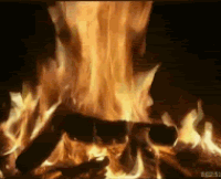 Campfire GIFs - Get the best gif on GIFER