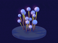 Fungus GIFs - Get the best gif on GIFER