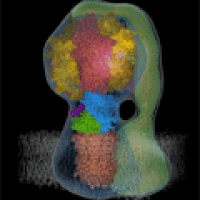 Vitro GIFs - Get the best gif on GIFER