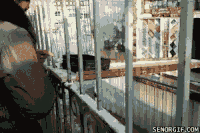 Apocalyptic GIFs - Get the best gif on GIFER