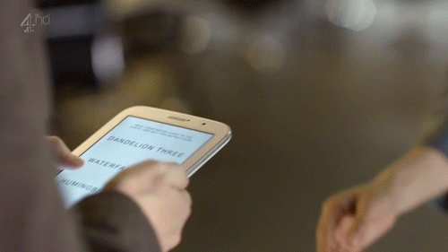 Why do humans do this GIF - Conseguir o melhor gif em GIFER