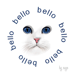 Bello GIFs - Get the best gif on GIFER