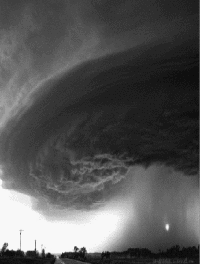 Hurricane GIFs - Get the best gif on GIFER